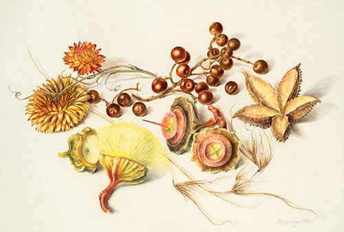 Beverly Allen Gallery