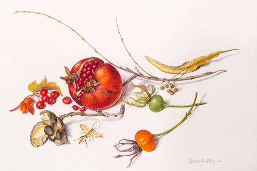 Beverly Allen Gallery